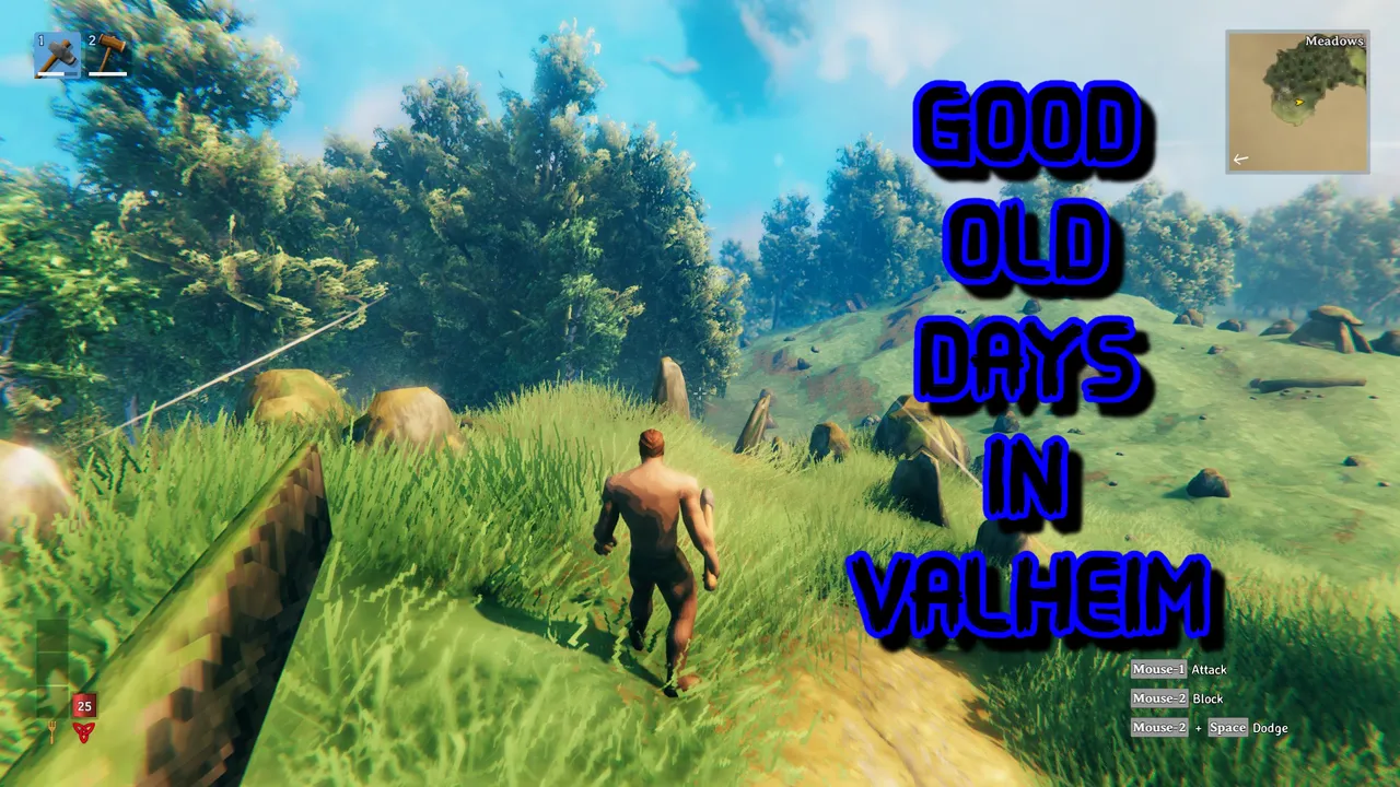 Good Old Days! - Valheim