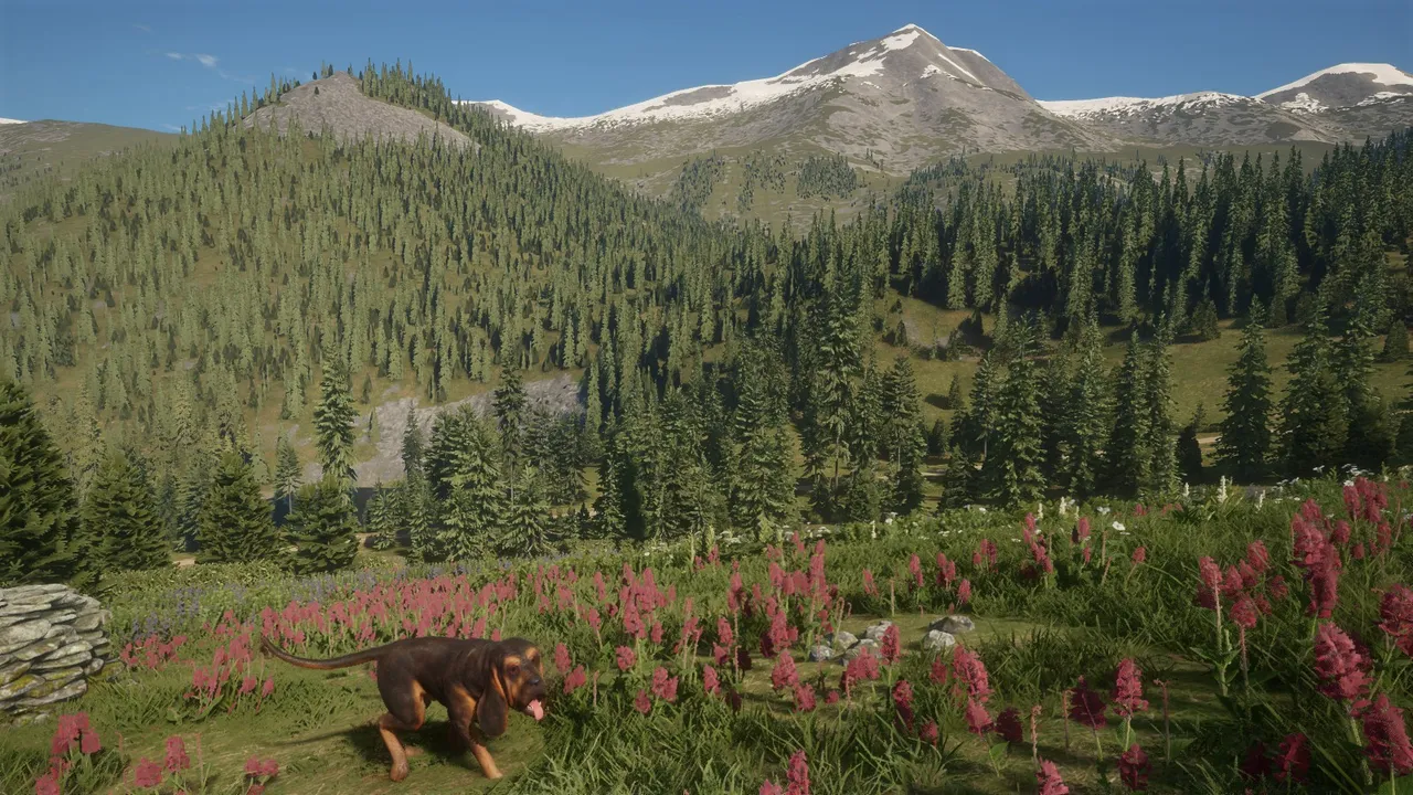 Climbing the Highest Peak in Silver Ridge Peaks!