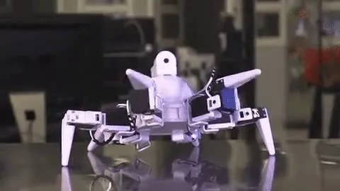 Six Hexapod Robot Kit - Programmable Six Legged Robot For Stem Lear...