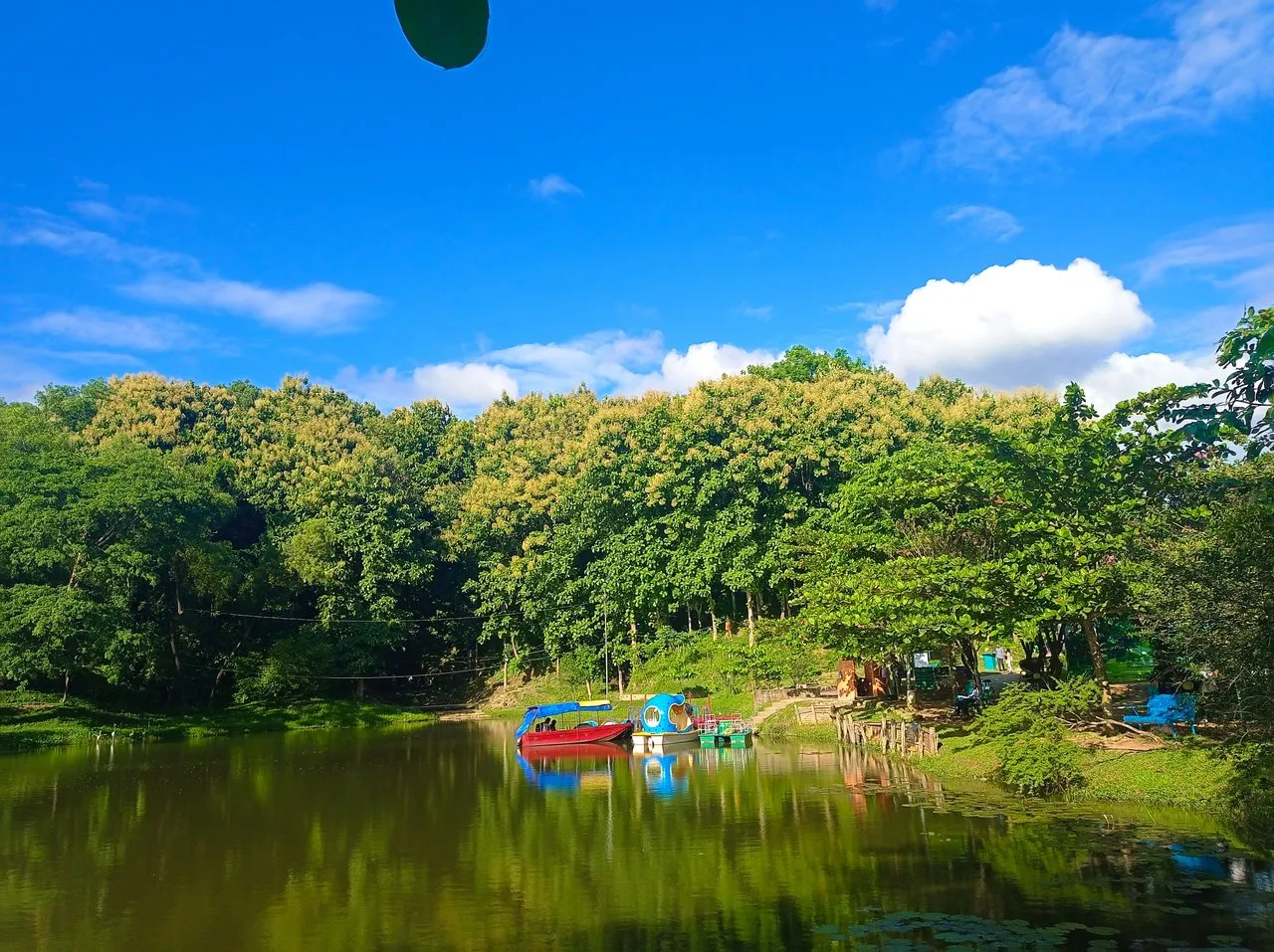 Visit to the Hillview Park