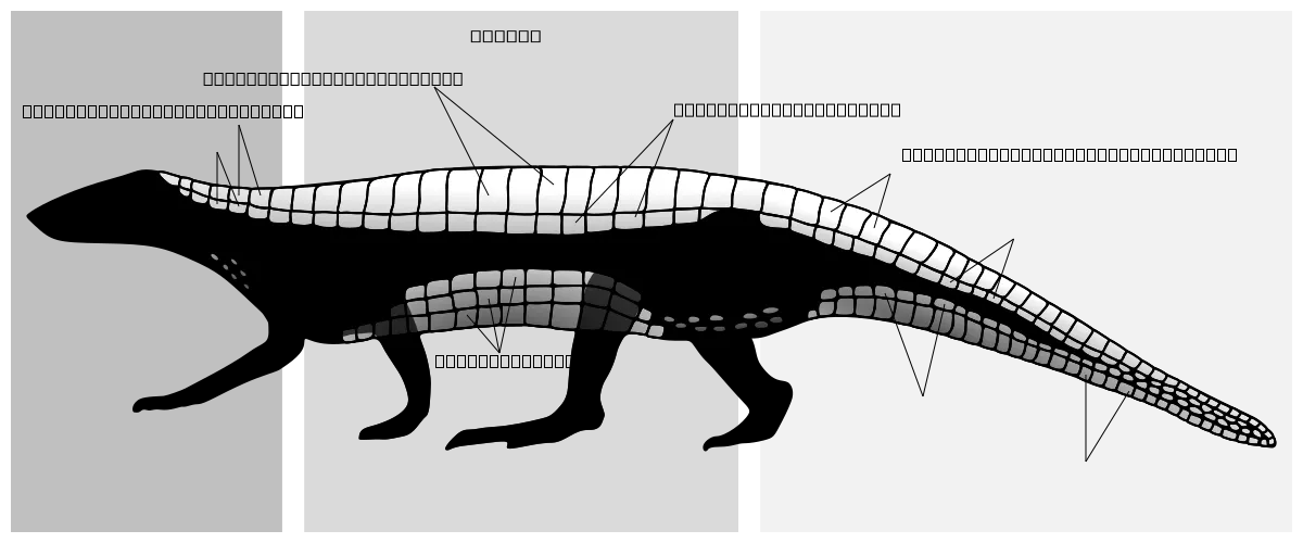 Outer Skin Bones (Osteoderms) in Animals and their Functions