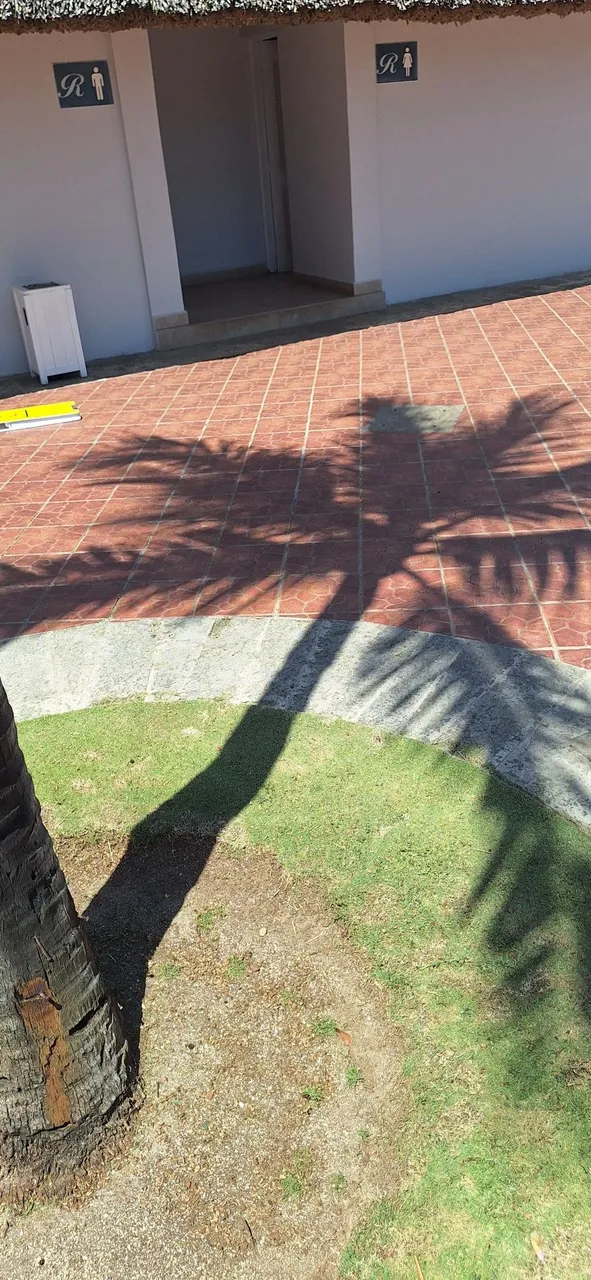 Winners-Shadow Hunters Community SMASh Contest Round 372