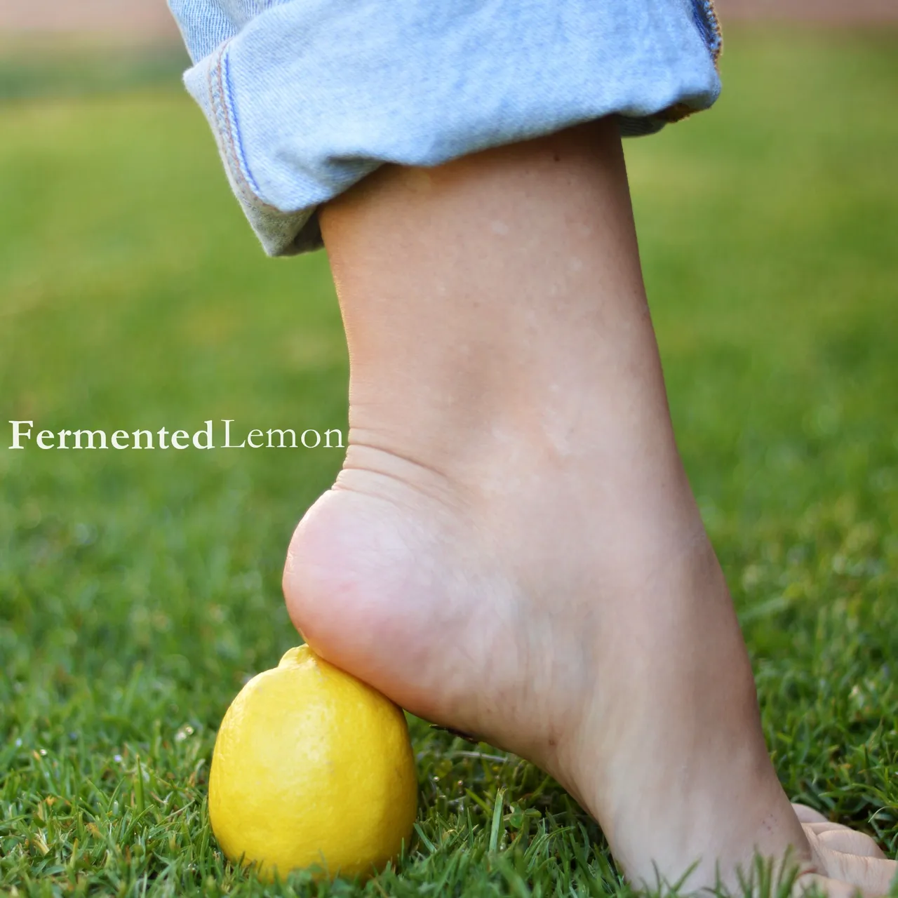 Lemon - Photographs and Haiku Poems