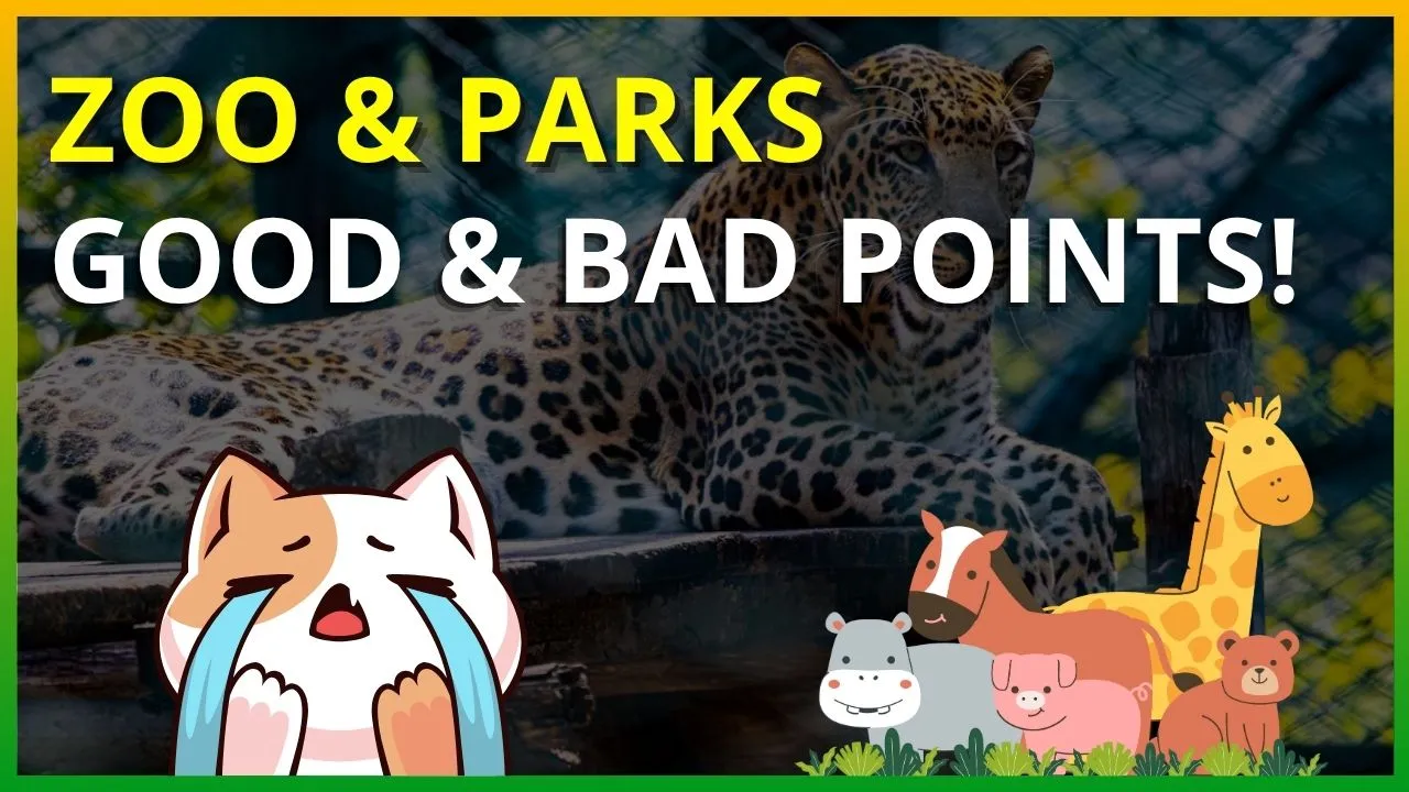 Nature 🐯| The Good and Bad Points of ZOOs! [EN/PT]