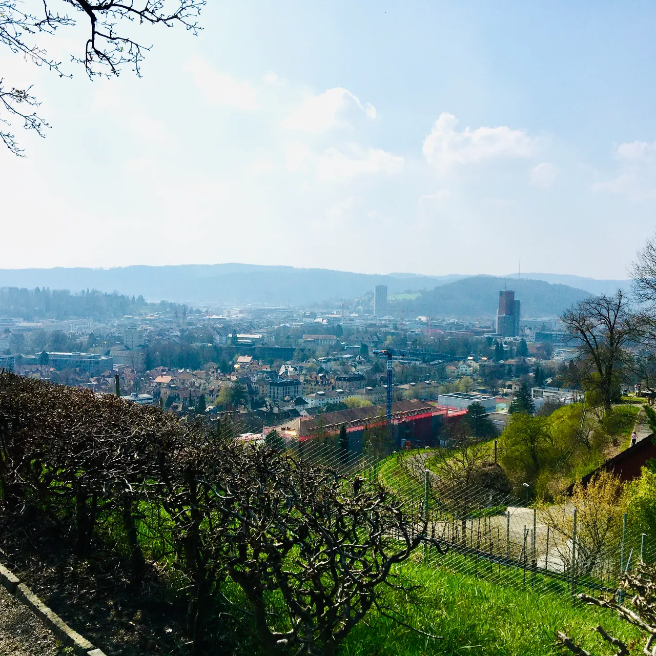 Winterthur Goldenberg