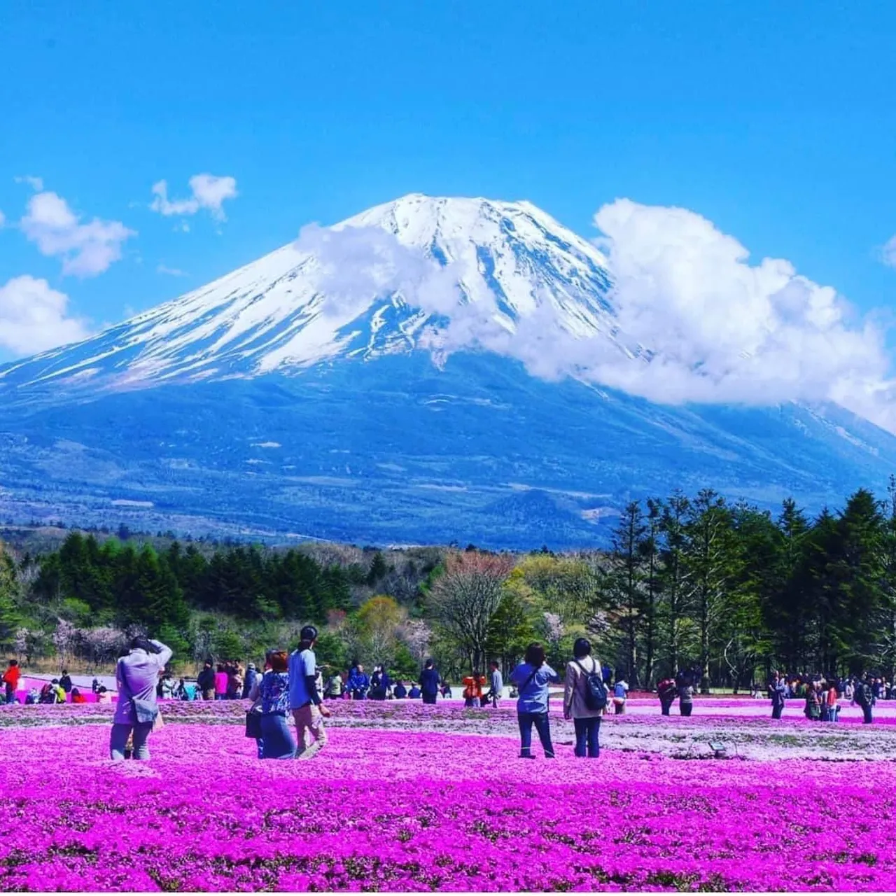 Be mesmerized by the beauty of Japan