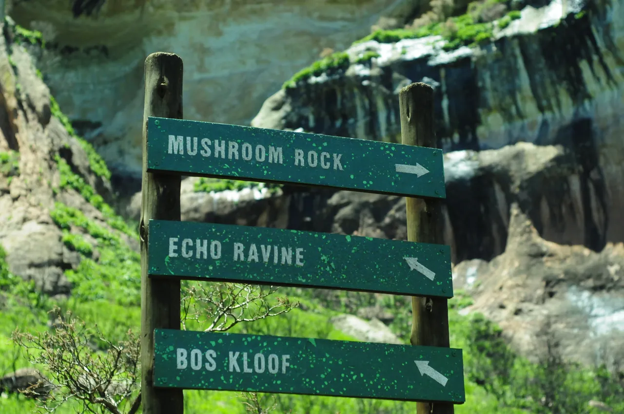 Hiking to Echo Ravine