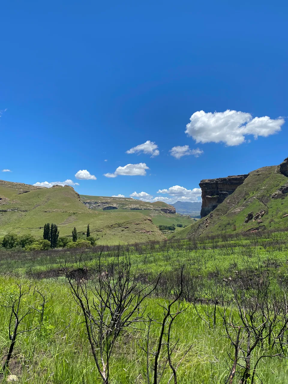 Hiking to Echo Ravine
