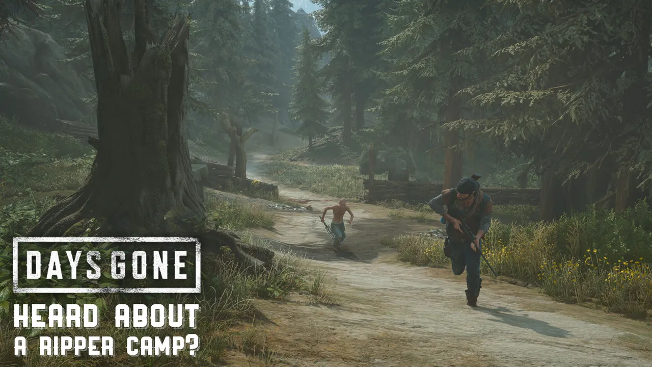 Heard about a Ripper Camp?