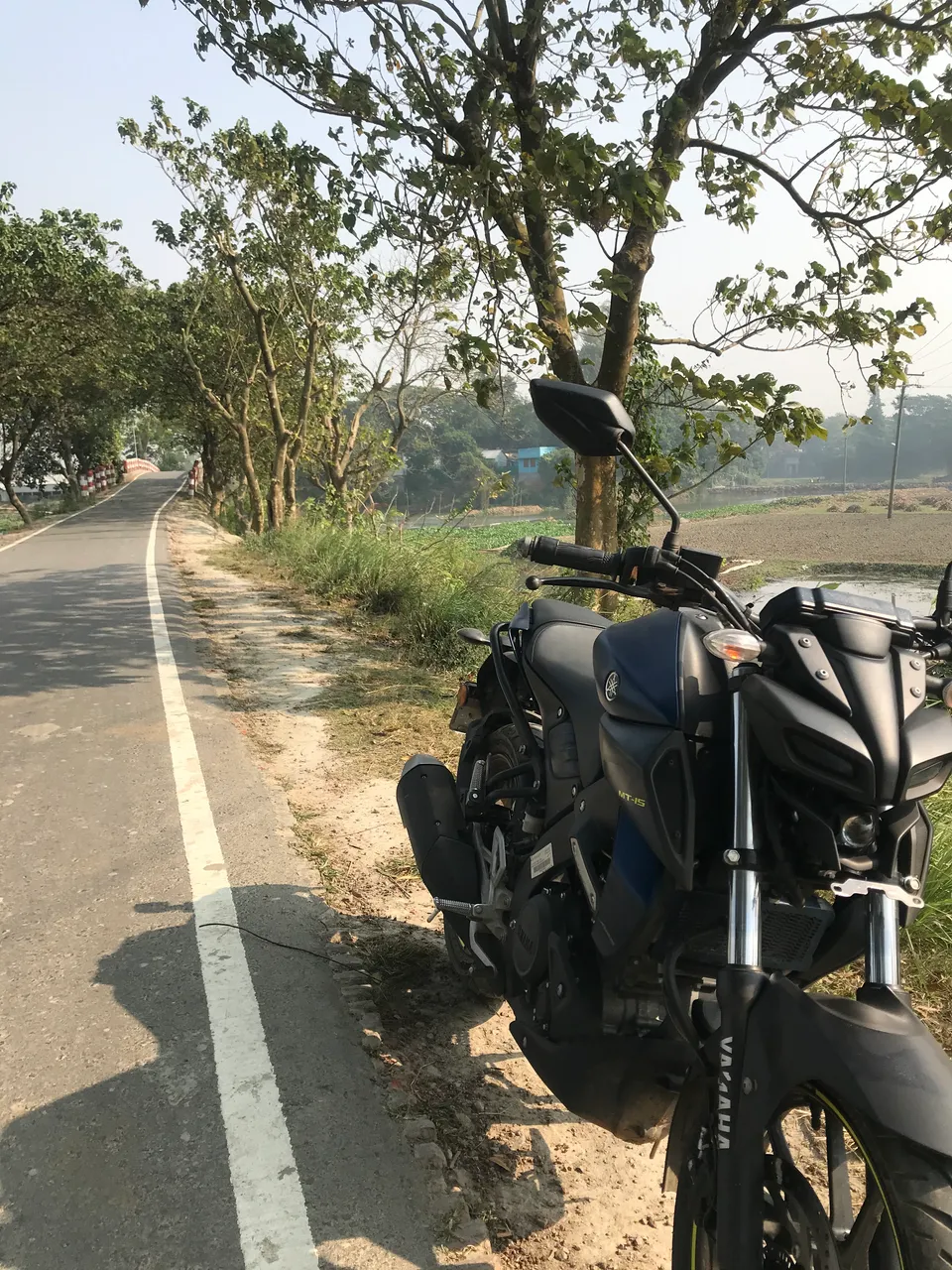 Riding into the Sunset: An Evening Bike Ride into a Beautiful Road