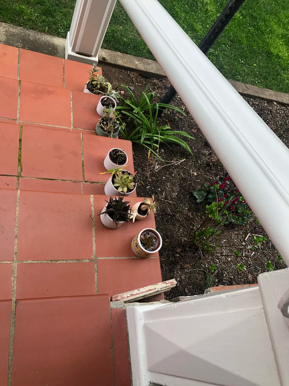 Wednesday Walk around House