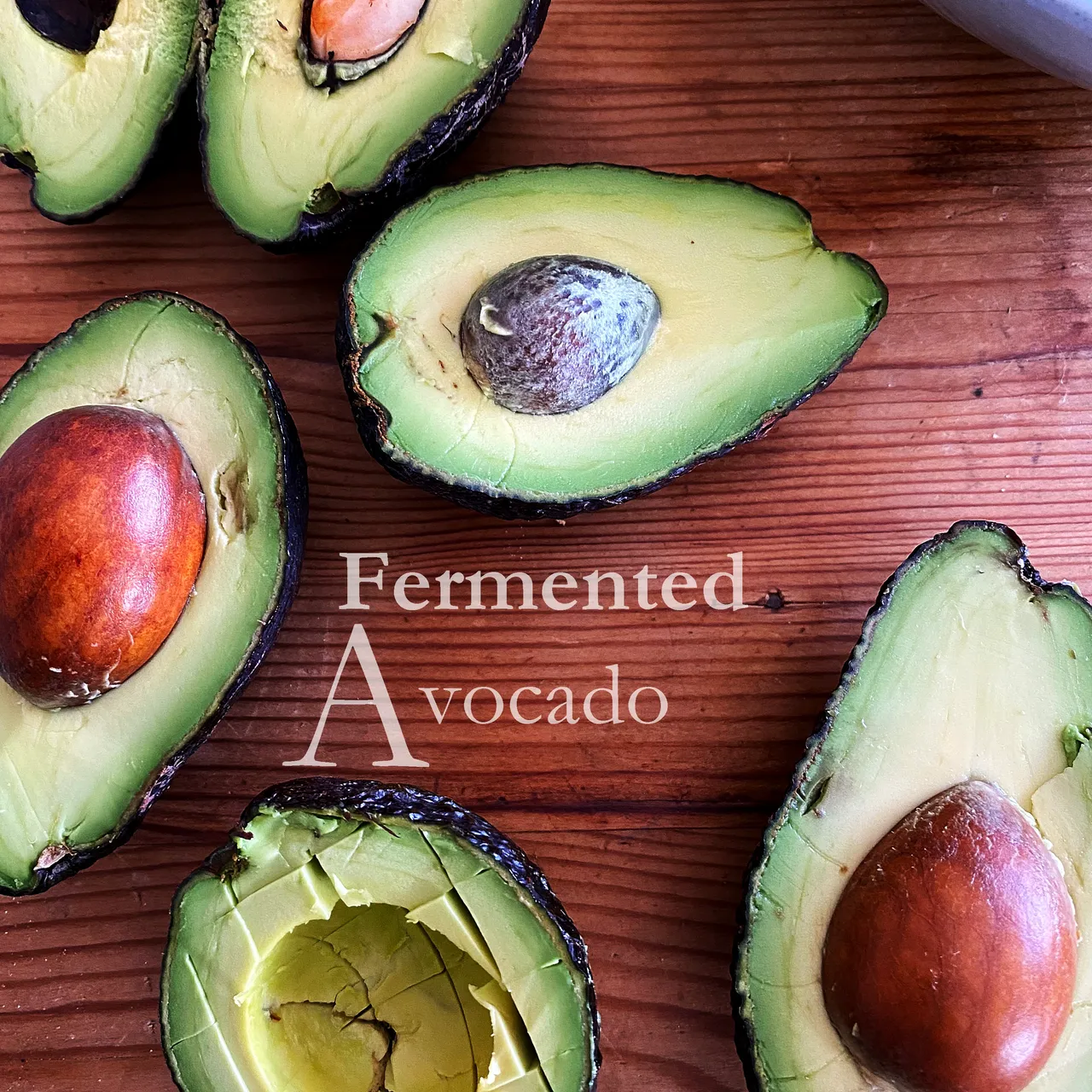 When Life Gives You Avocados - "Urban" Foraging For Food and Musing...