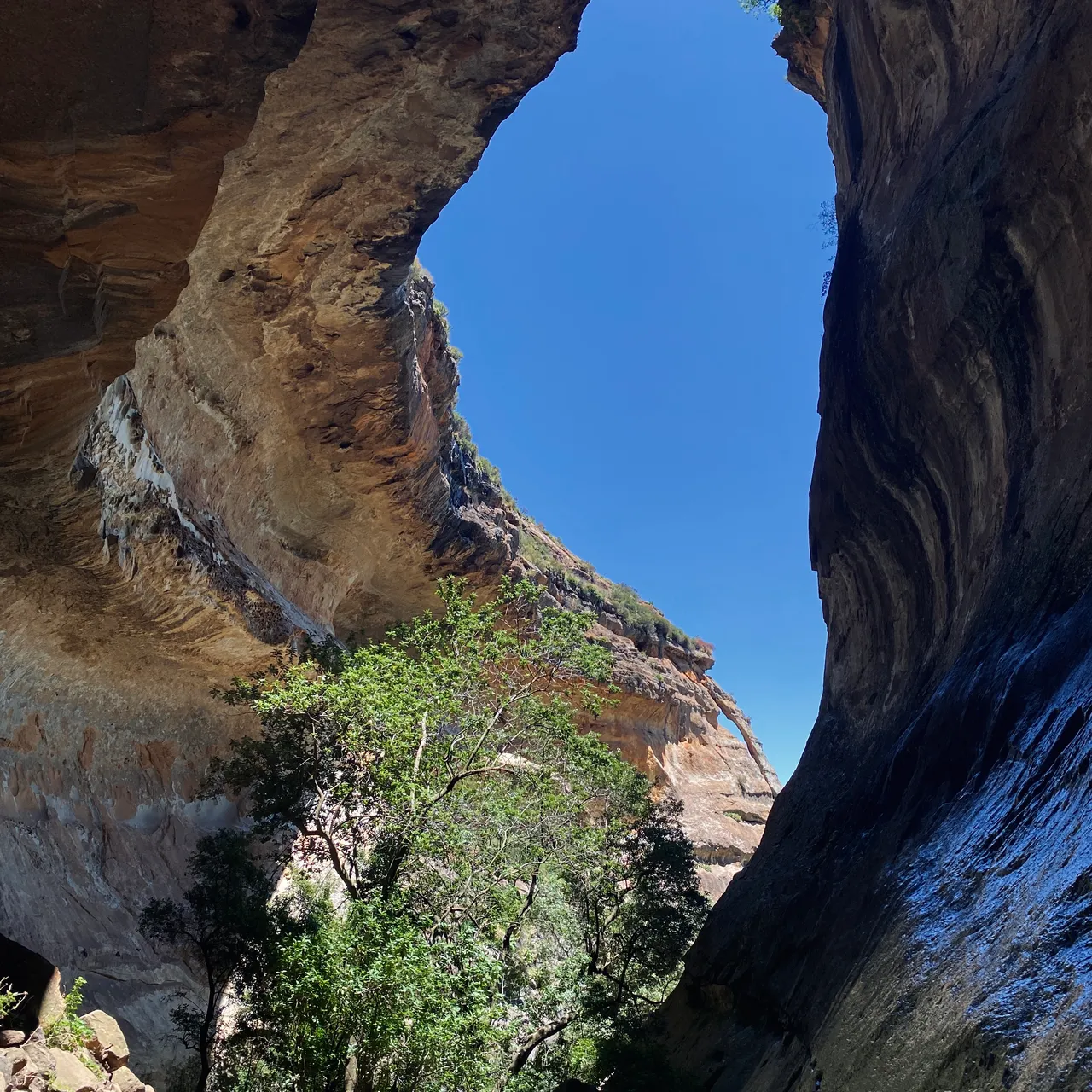 Hiking to Echo Ravine