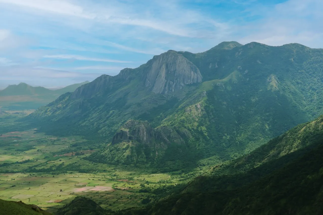 At the top of the Kallippara Hills, Neelakuriji bloomed. 🌸