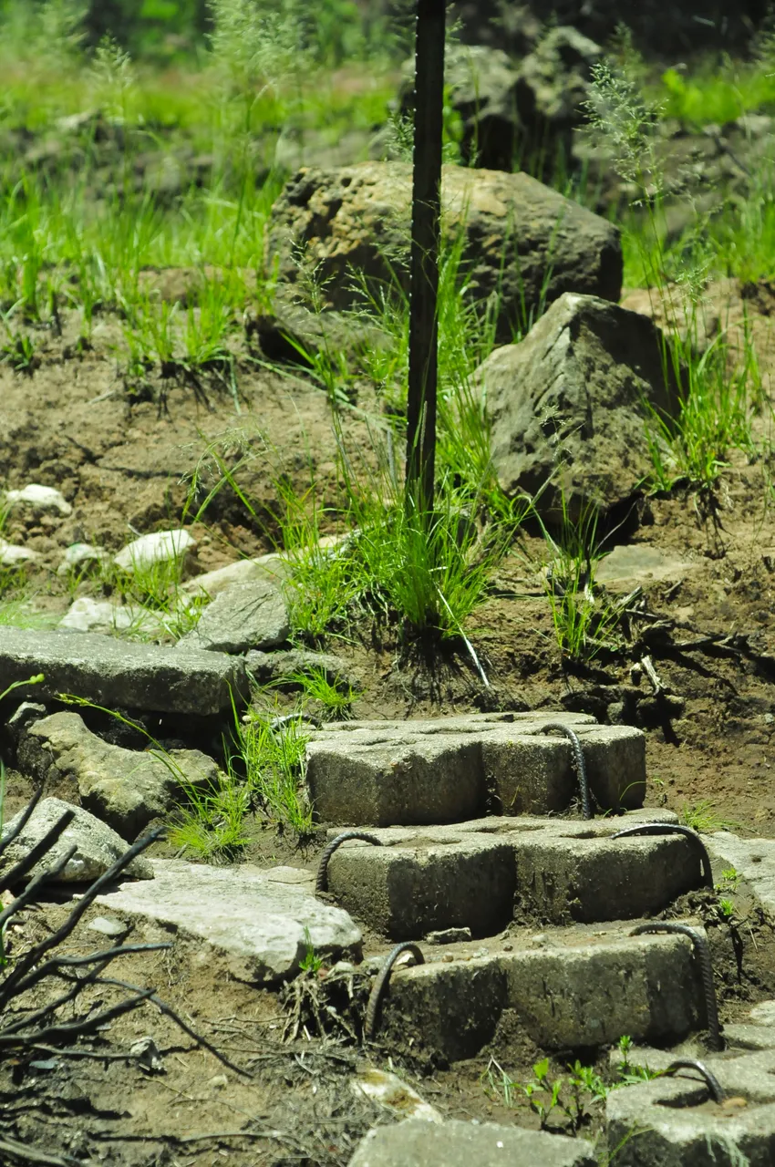 Hiking to Echo Ravine