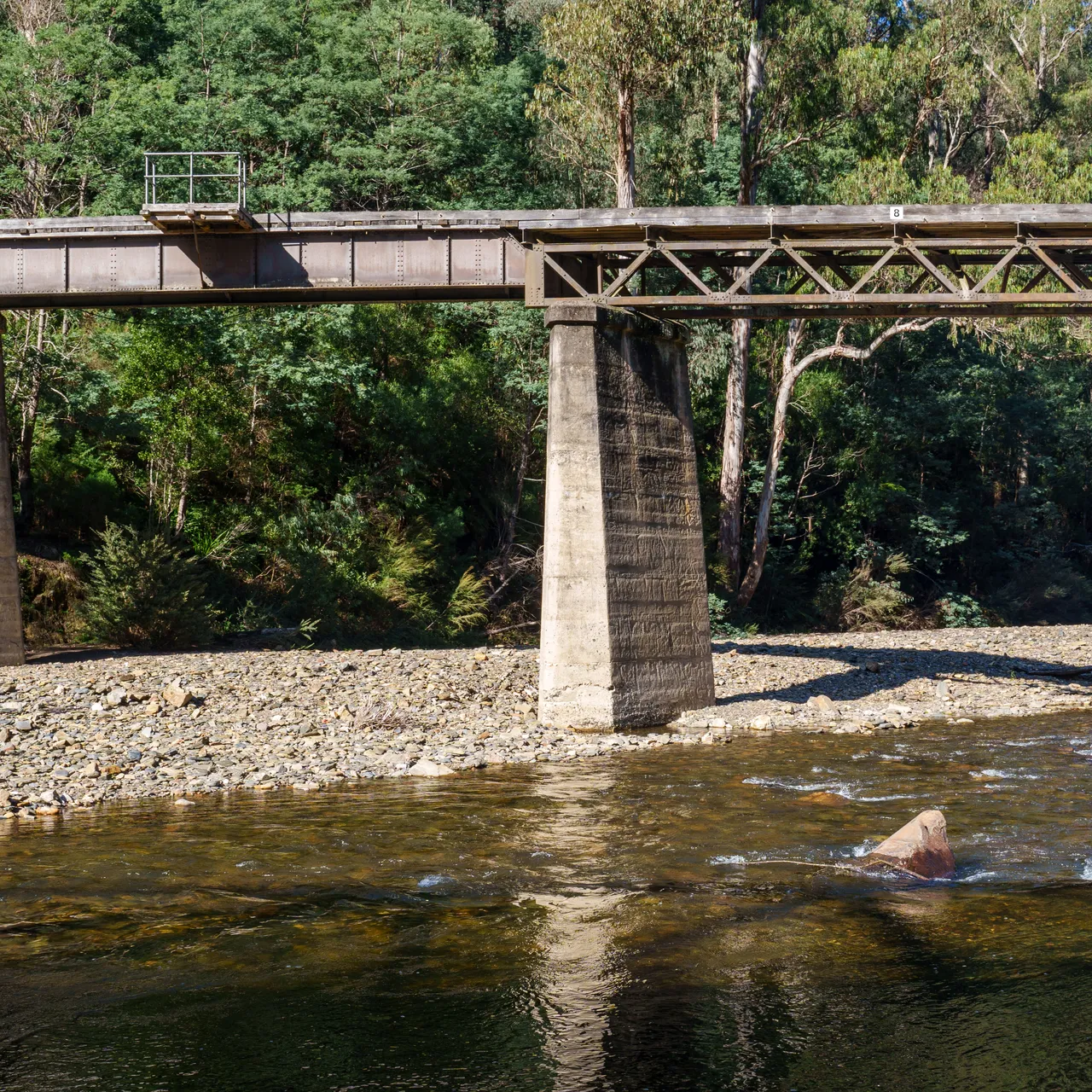 Thomson River Bridges