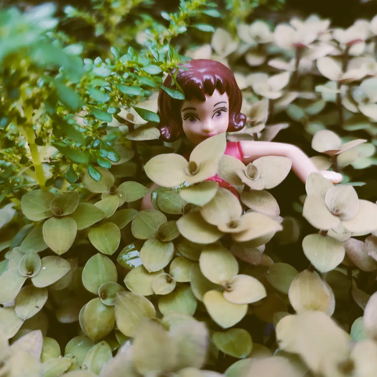 Photographic experiments with toys.