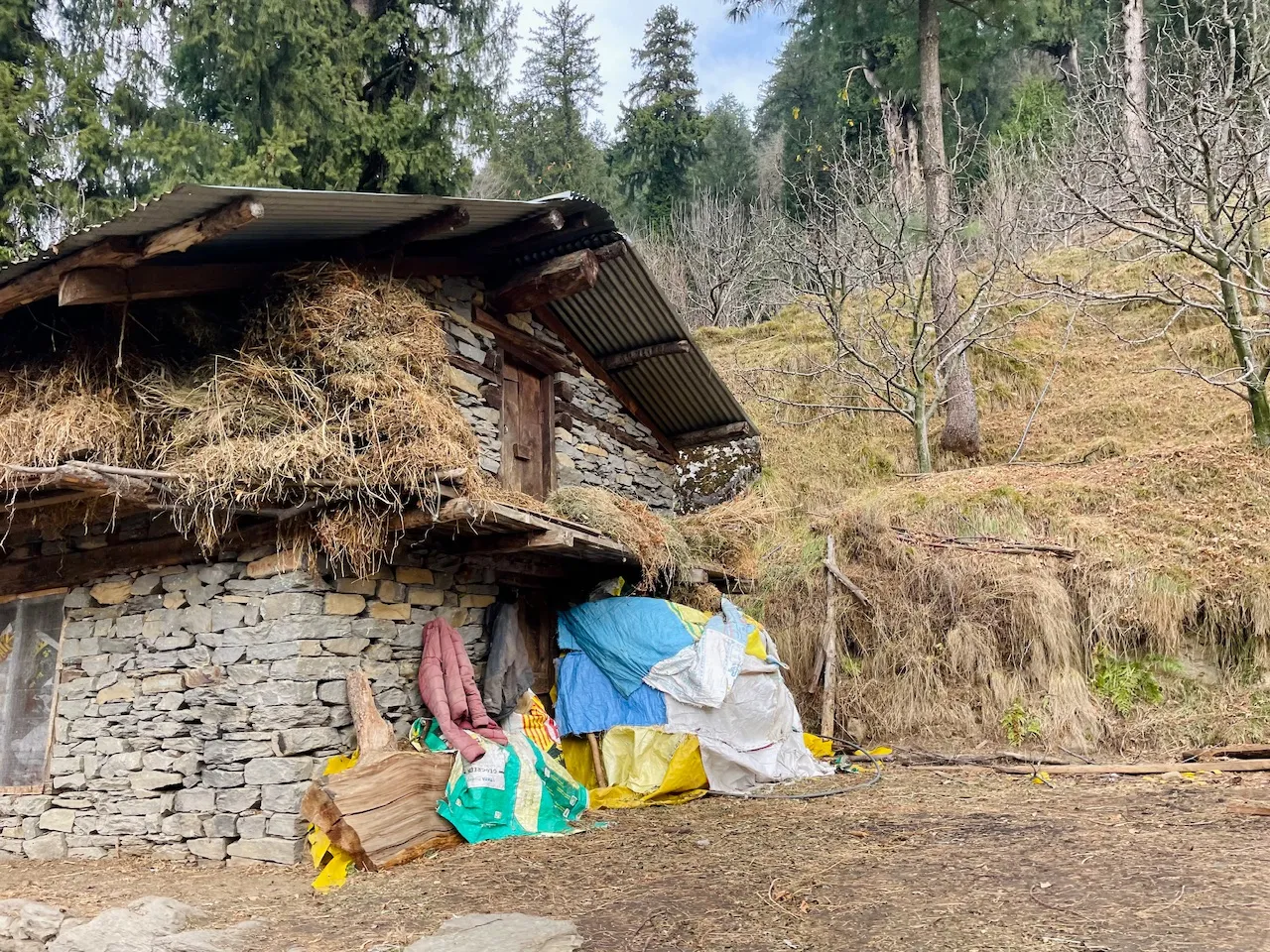 Exploring the ancient Shigli Village of Manali. With the houses mor...