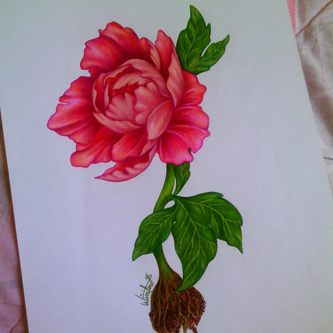 How to achieve more intense colors in your drawings? - [The secret]...