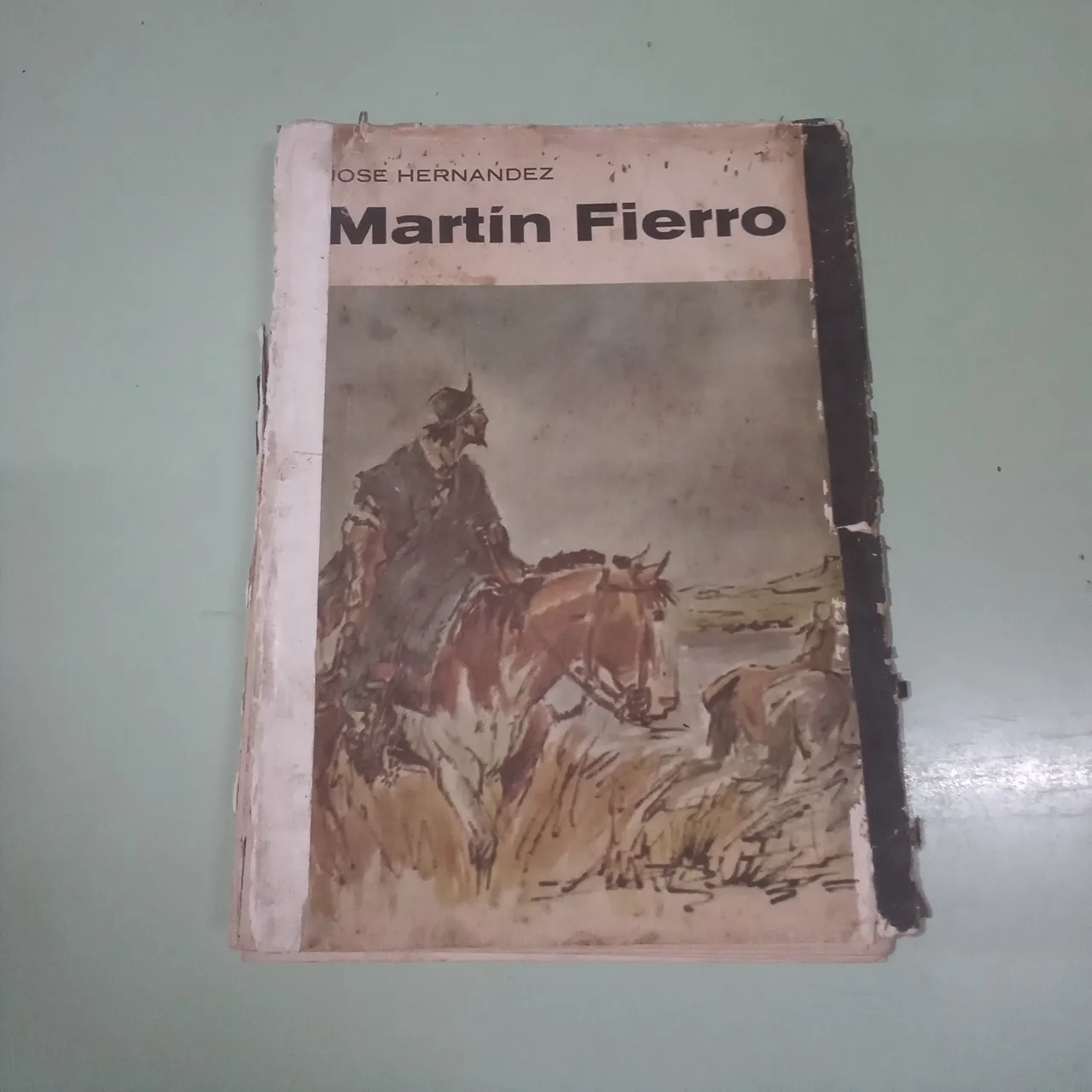 Book Review: The Martín Fierro