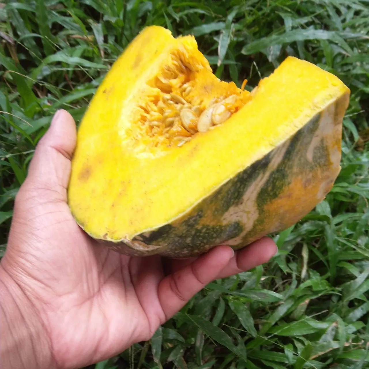 Curry pumpkin delicious and healthy way