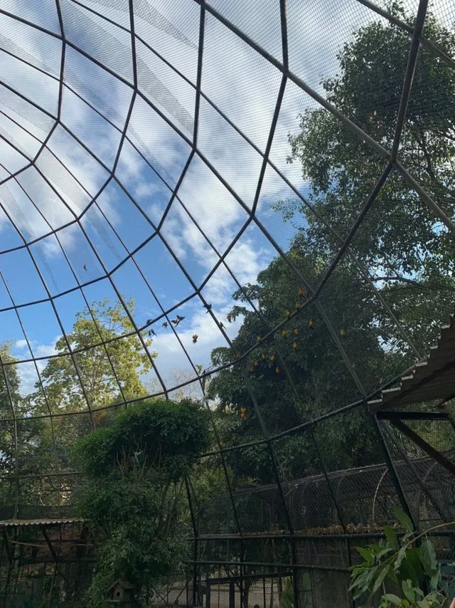 Bonanza Exotic Zoo, a wonderful zoo at Khao Yai, Thailand - Part II