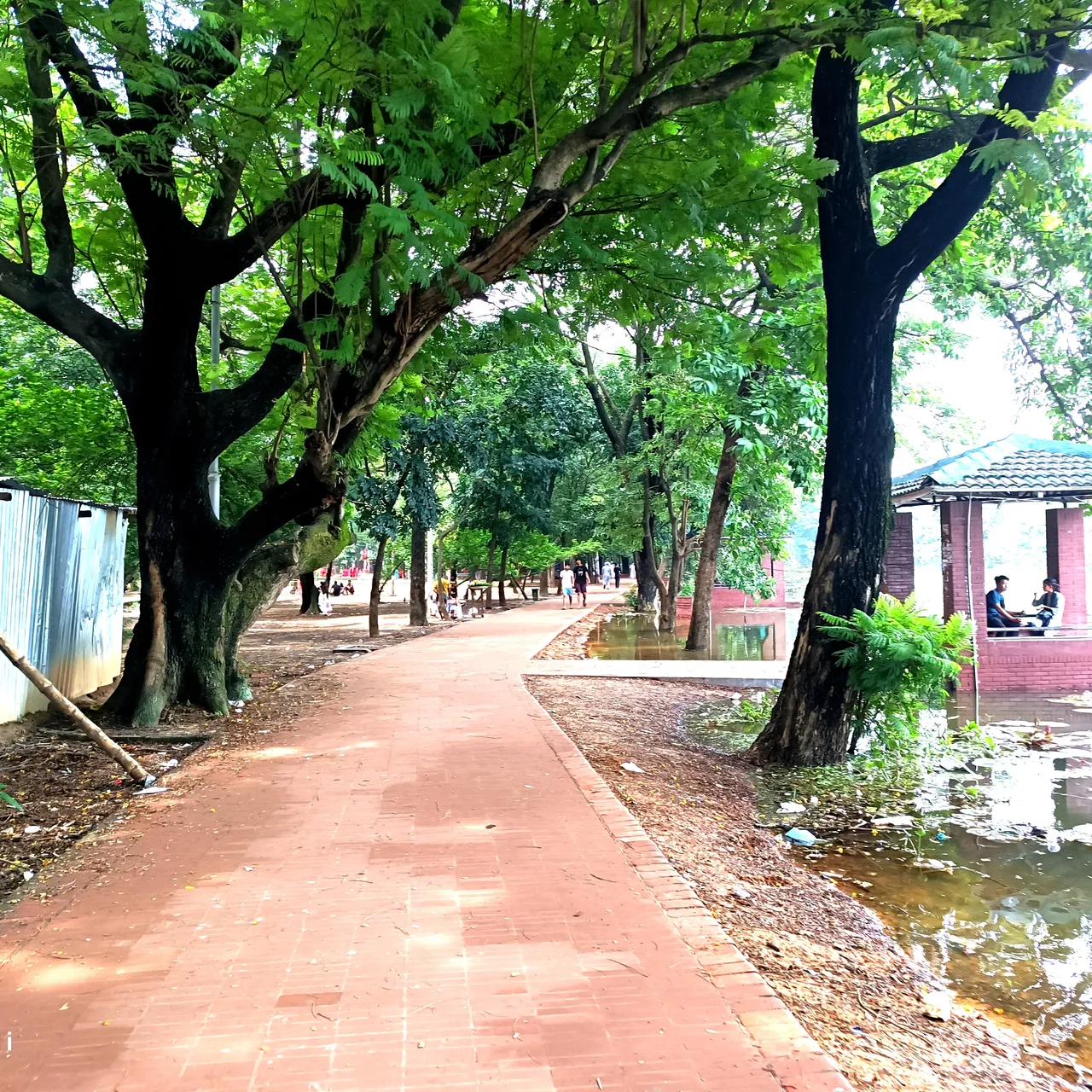My trip to Dhanmondi Lake on a Friday holiday.
