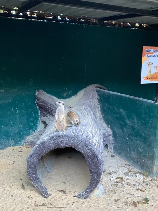 Bonanza Exotic Zoo, a wonderful zoo at Khao Yai, Thailand - Part IV