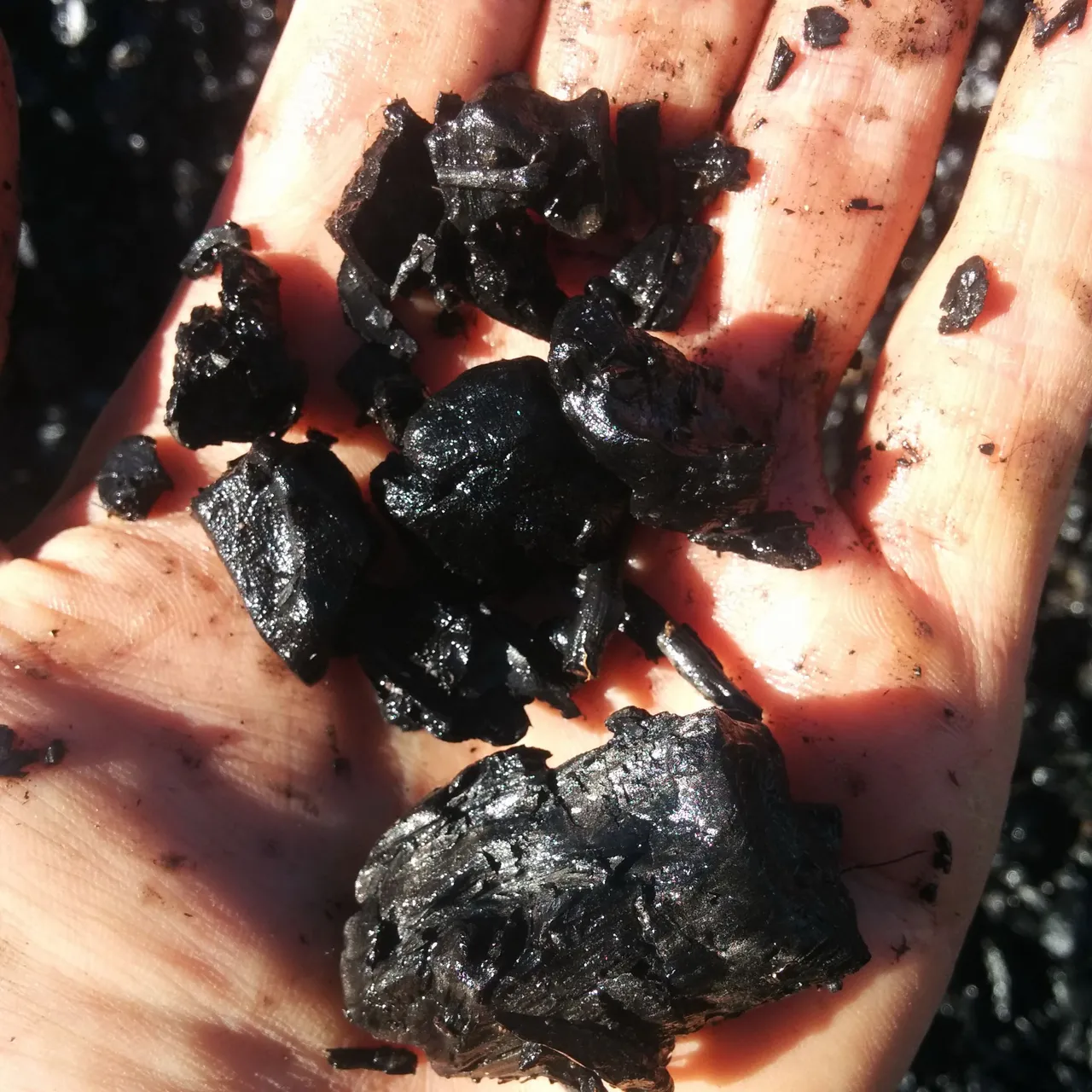 Homemade Biochar to Sequester Carbon and Increase Soil Fertility