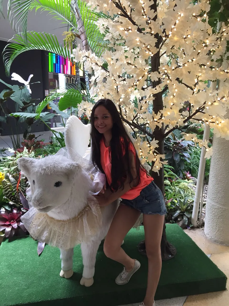 Fotografías de mi breve viaje a Montería, Colombia en el 2017.