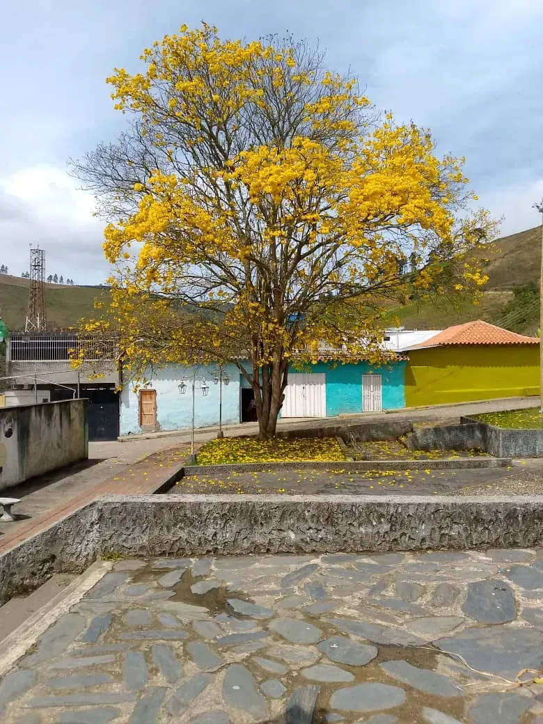 Más que un símbolo natural una obra de arte hecha por dios digna de...