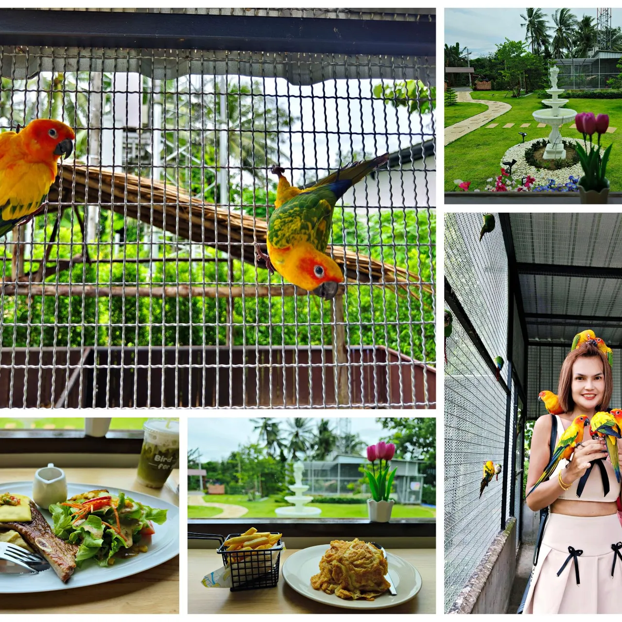 A Visit to the Bird Café