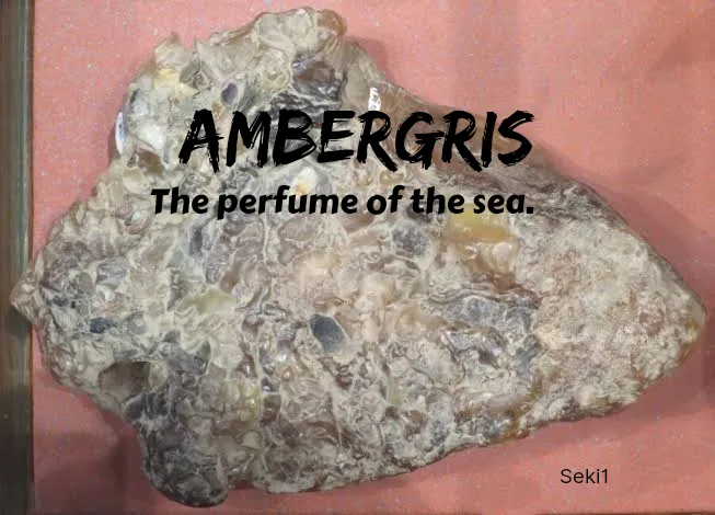 Whale Poop Perfume 💩 🐳