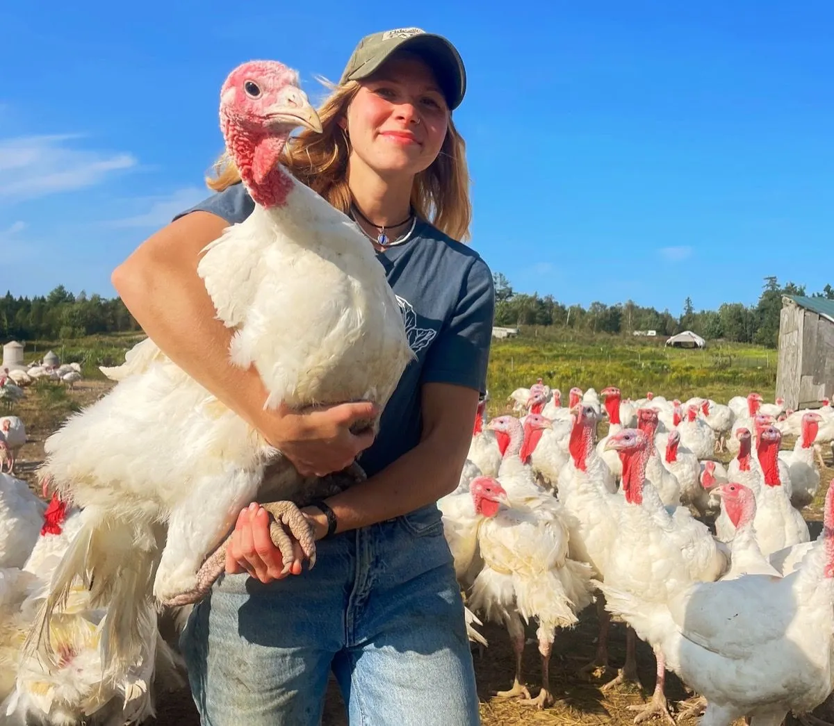 Folk Tales from Gascony: The Turkey Sitter, Part 2.