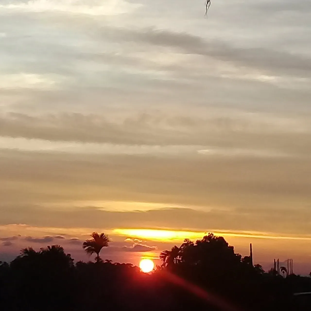 The capture of the sunset