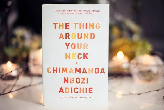 A Book Review || The Thing Around Your Neck.