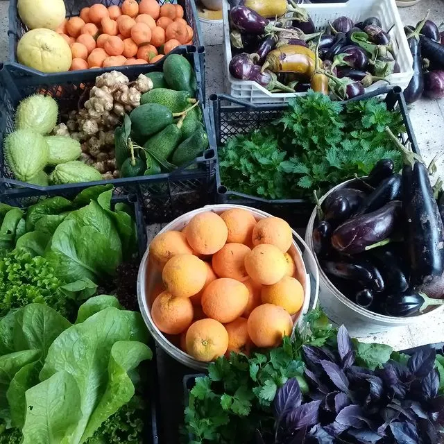 The clean harvest products from the garden