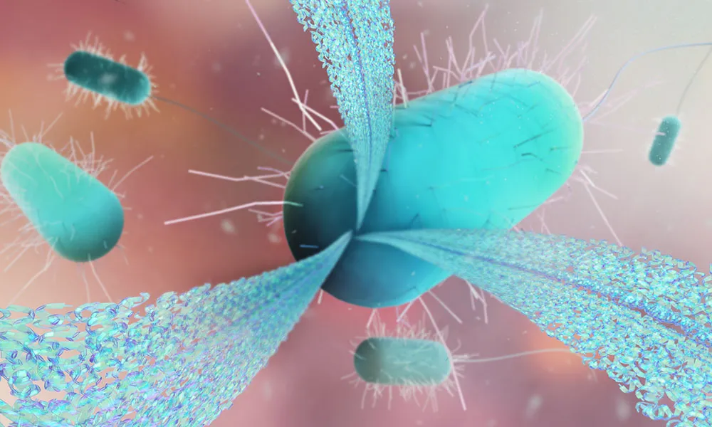 Decoding Life: A Biologist's Perspective