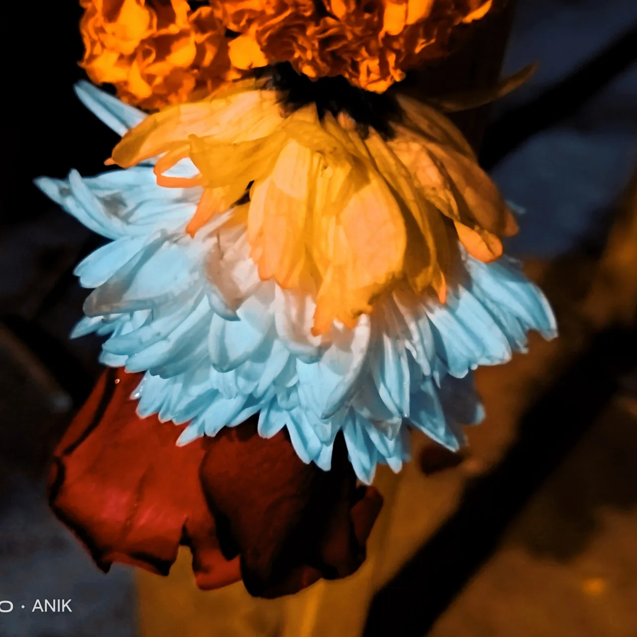 FOUR FLOWERS WITH FOUR COLORS