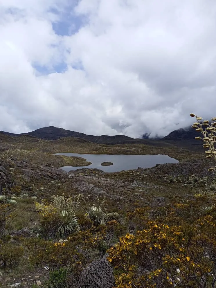 Hiking Laguna El Parche and La Pata - Mérida Vzla. // Senderismo La...