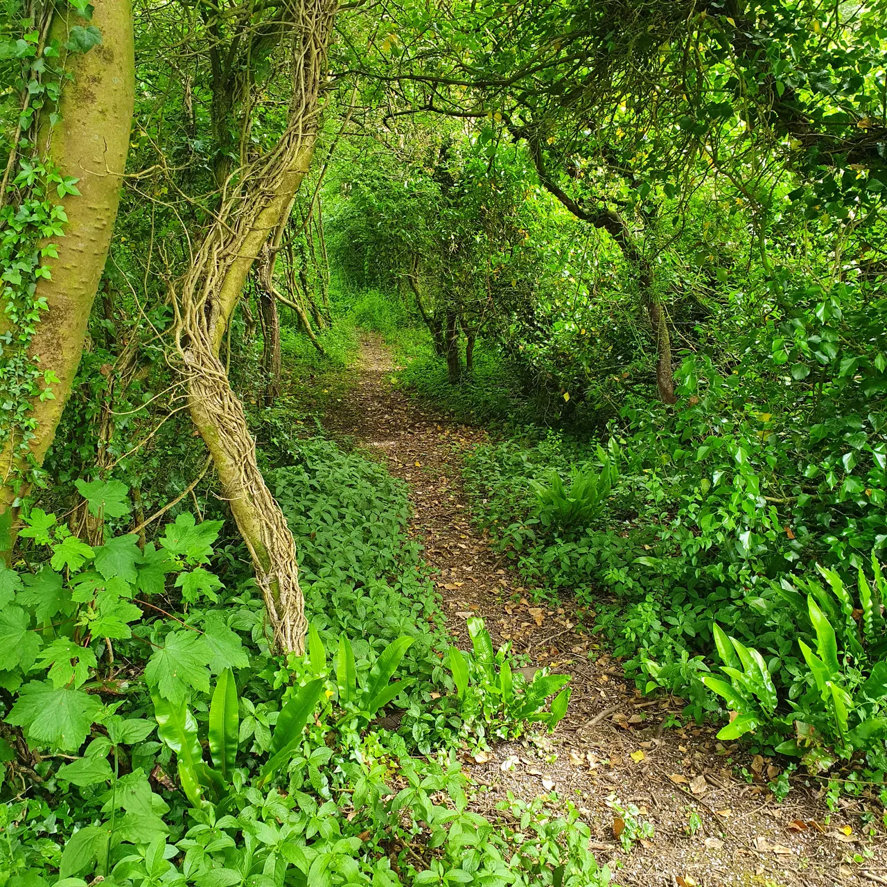 Ideas flow. Walk. Just walk.