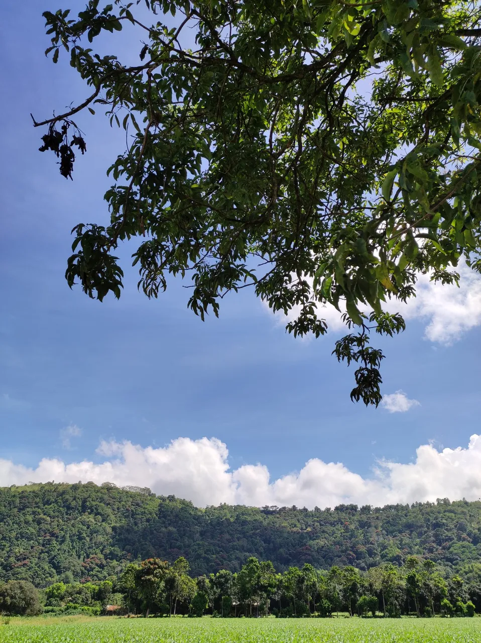Breathtaking View of Bubunawan River Valley and Falls | Libona, Buk...