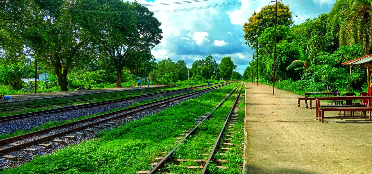 Chandpur: A tour to the city of Hilsha Fish