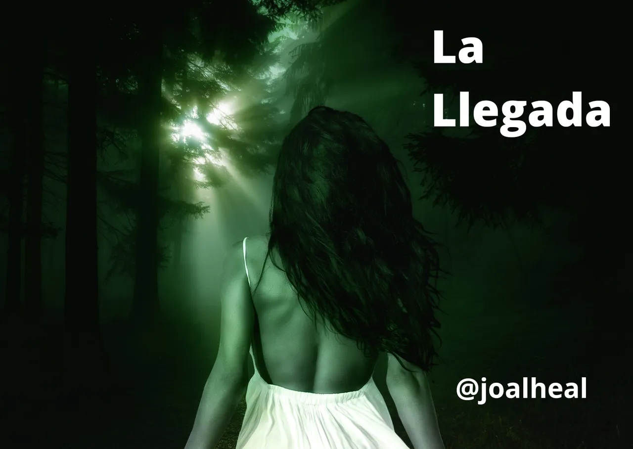 La llegada - Poema [Esp-Eng]