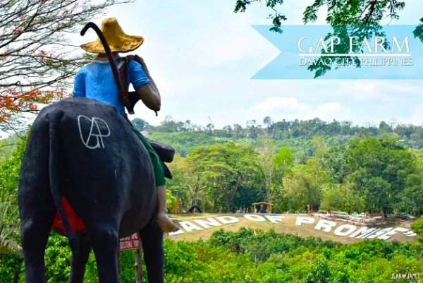 Visiting the GAP Farm In Davao