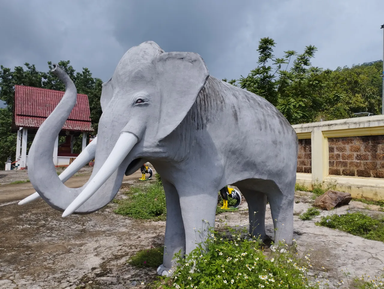 Enjoy at Wat Ban Ai and Wat Phatu Muang Pha Hong, Chai Prakan Distr...