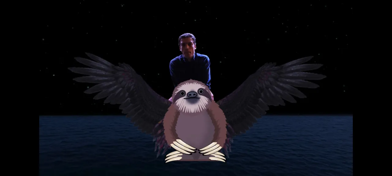 Flying with My Sloth Friend