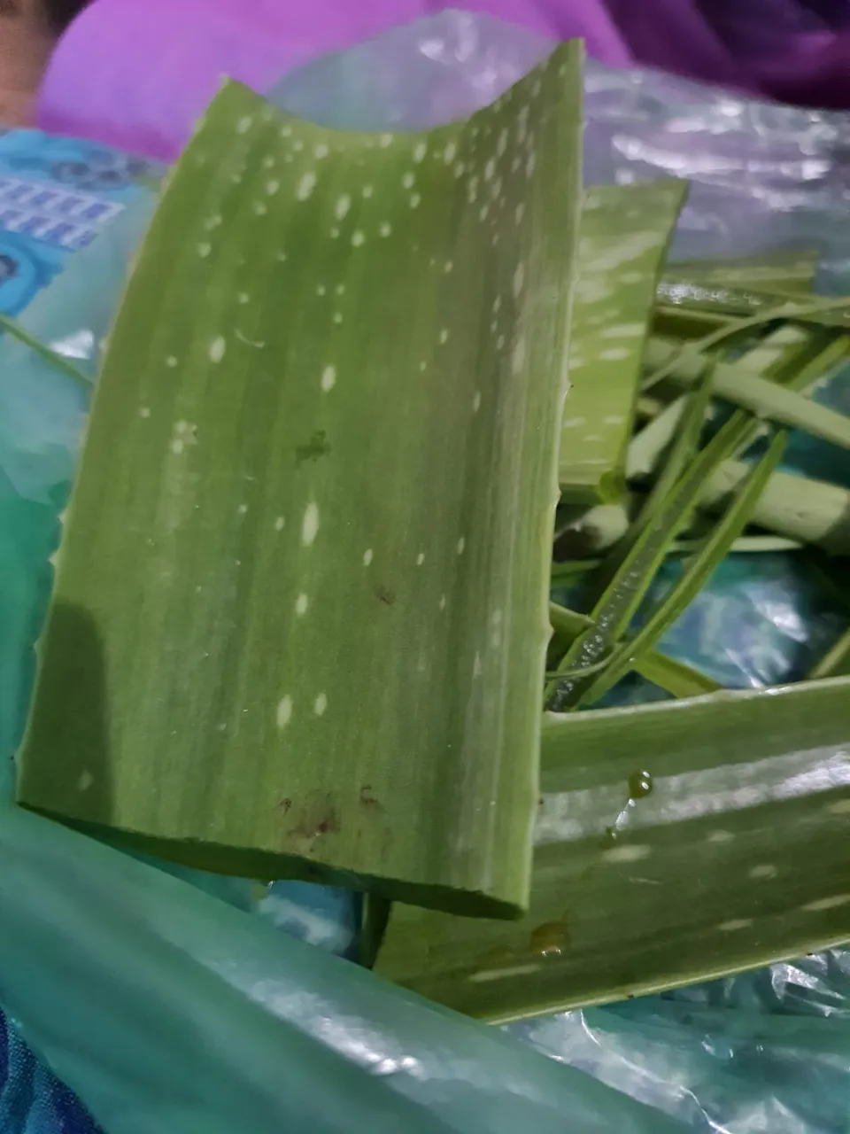 Prepared Aloe Vera Curry