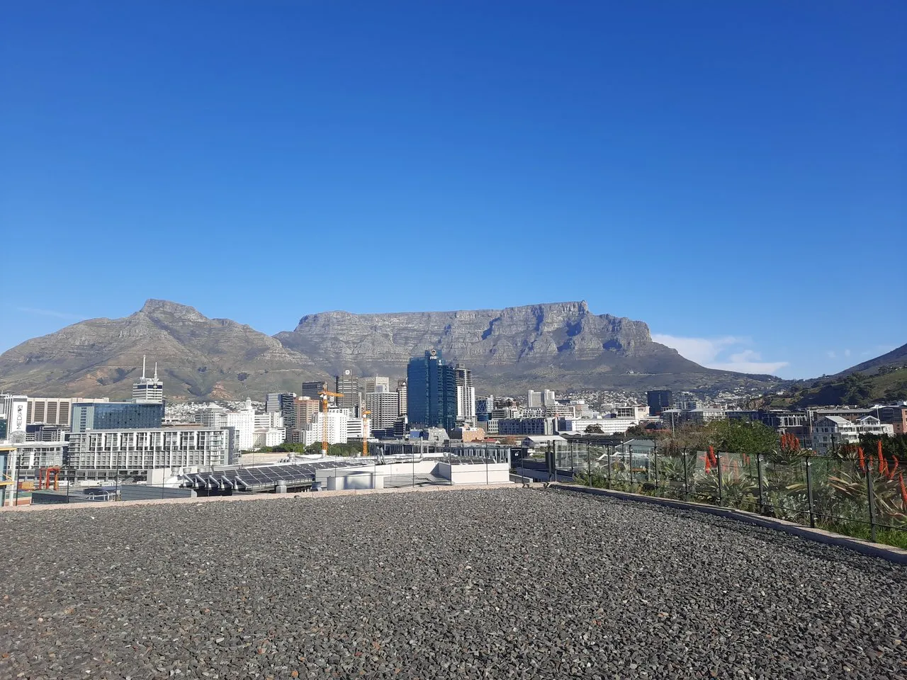 Zeitz Mocca Art Museum - Cape Town