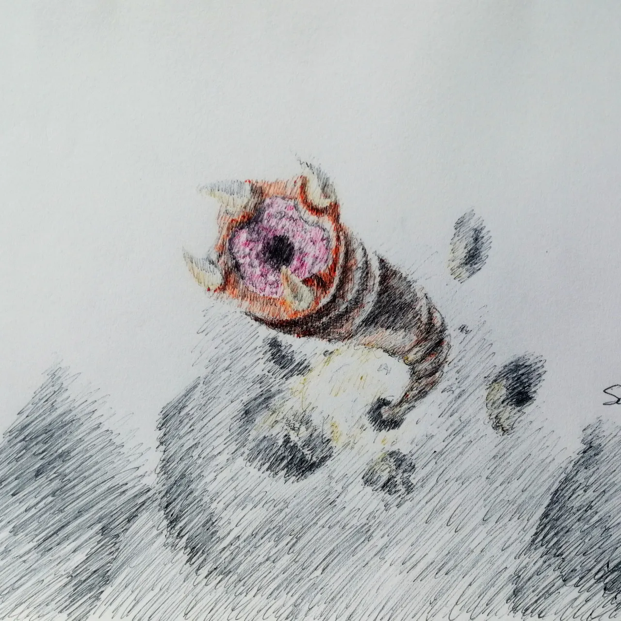 New Ink Drawing - Sandworm